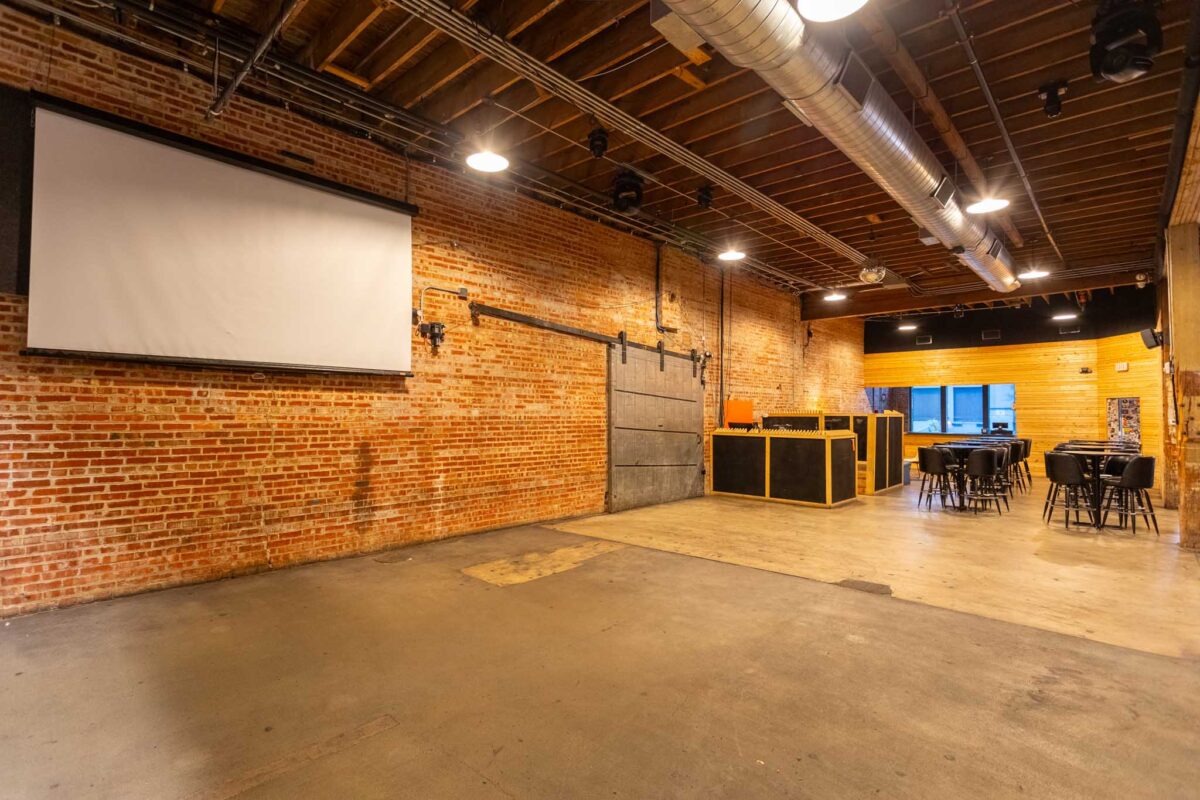 Tulips - The Venue Collective