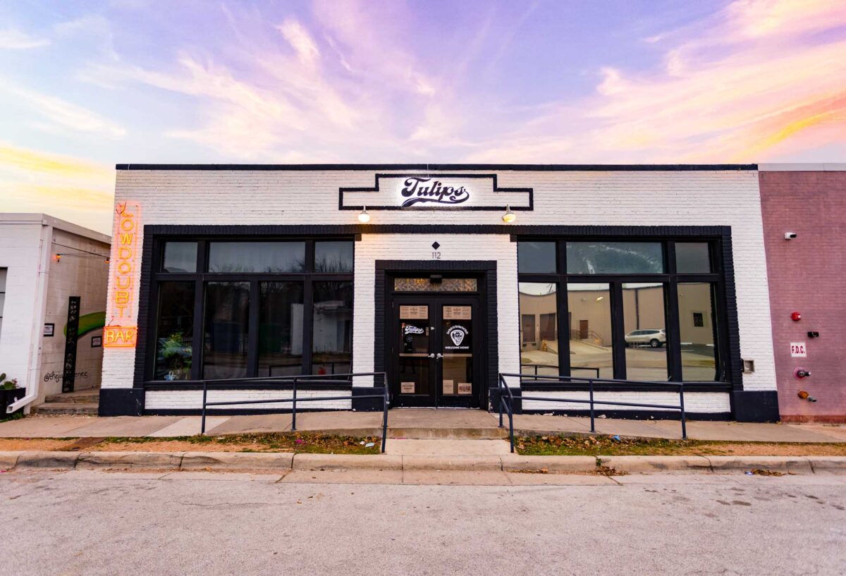 Tulips - The Venue Collective